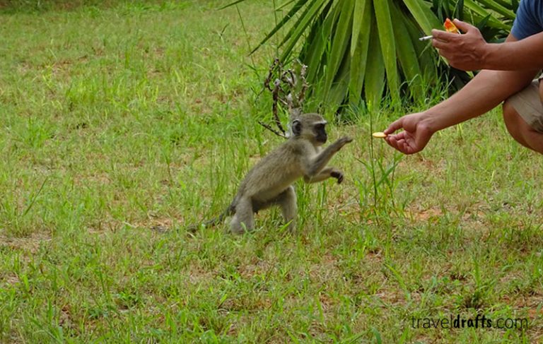 Kissama National Park - A Safari in Angola
