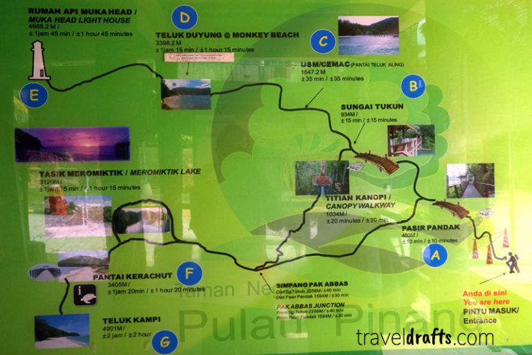 Fun and easy hike in Penang National Park, Malaysia
