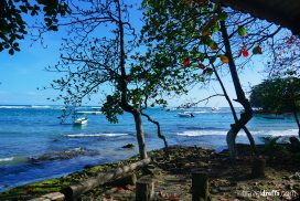 50 Things you need to know before traveling to Costa Rica – travel drafts
