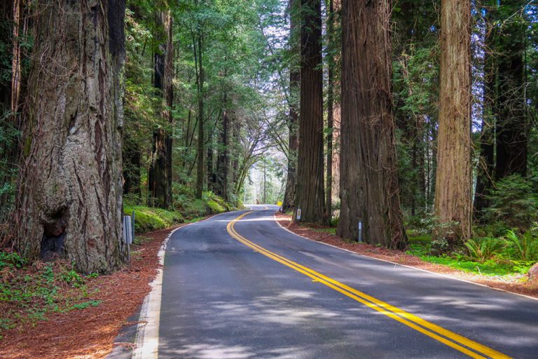 25 famous Landmarks in California you shouldn't miss - travel drafts