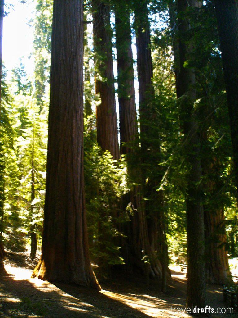 What is California Famous for? - travel drafts