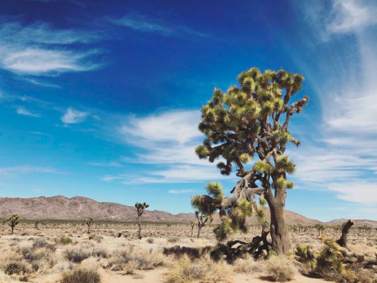 25 famous Landmarks in California you shouldn't miss - travel drafts