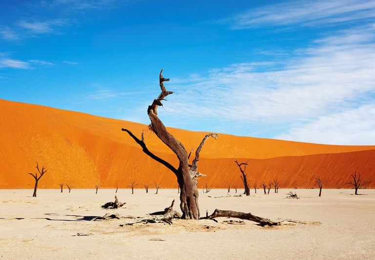 What is Namibia famous for? - travel drafts