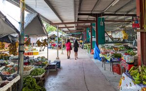 50 things you need to know before traveling to Belize