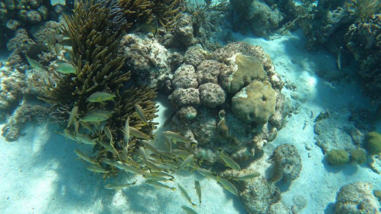 14 Famous landmarks in Belize