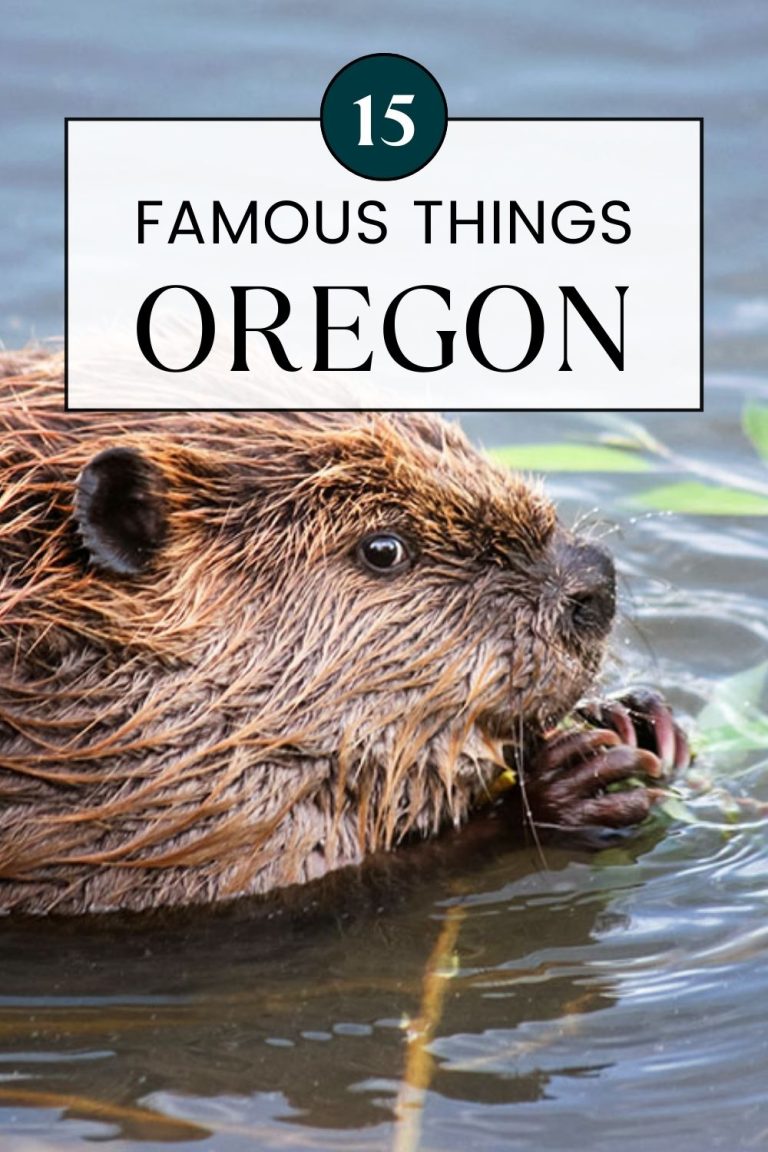 What is Oregon Famous for - travel drafts