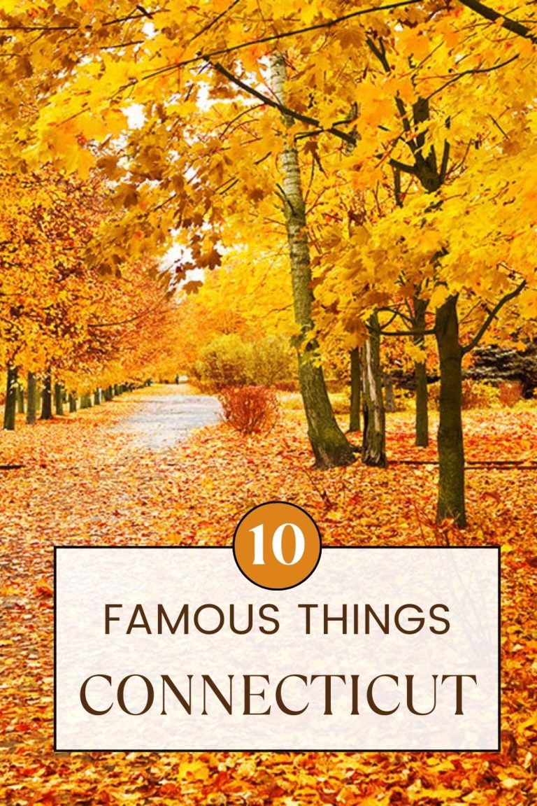 What is Connecticut famous for?