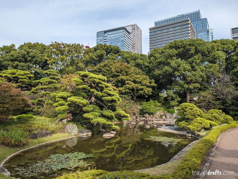 Seoul vs Tokyo - Which is the best city to visit? - travel drafts