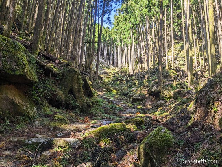 Exploring the Ogumotori-goe (Nachisan-Koguchi) – Kumano Kodo trail ...