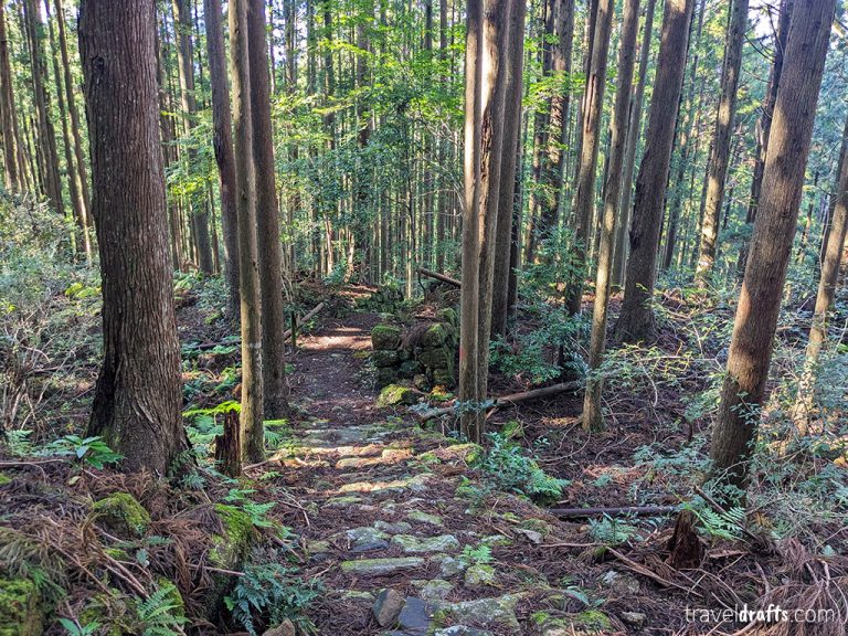 Exploring the Ogumotori-goe (Nachisan-Koguchi) – Kumano Kodo trail ...